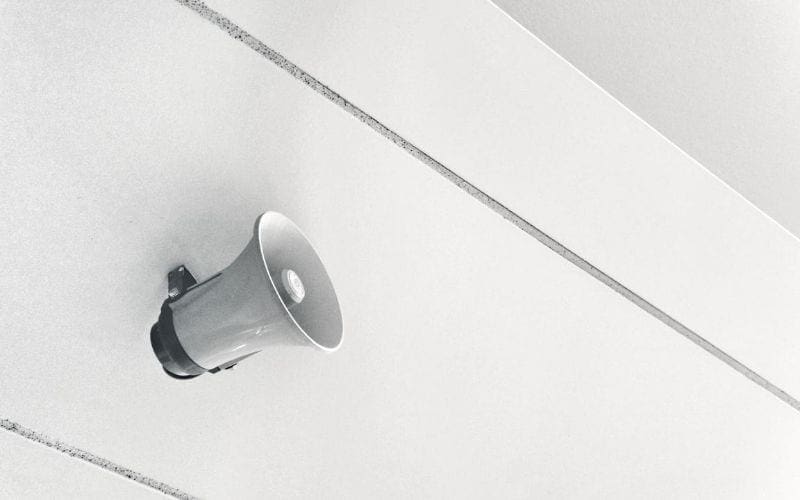 What Is A Fanbase | Music Gateway